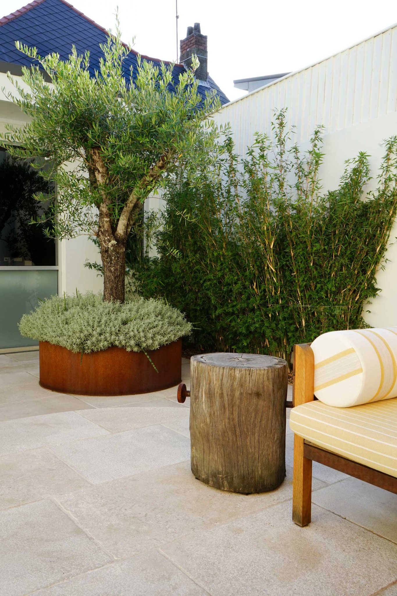 Award-Winning Bondi Beach Courtyard Garden | Bondi Landscapes