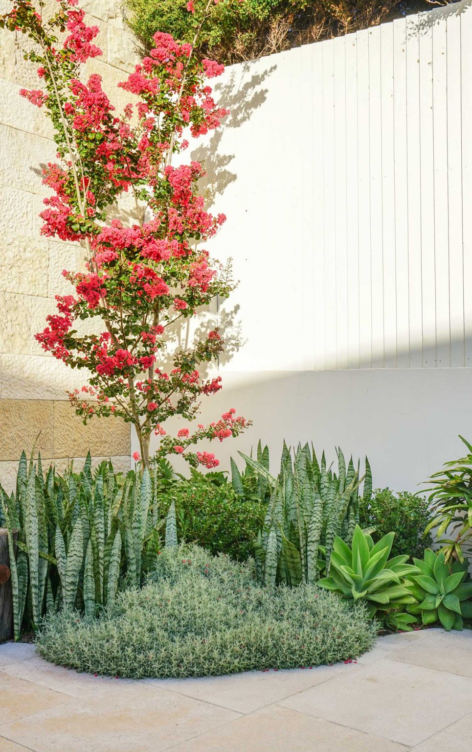 Award-Winning Bondi Beach Courtyard Garden | Bondi Landscapes