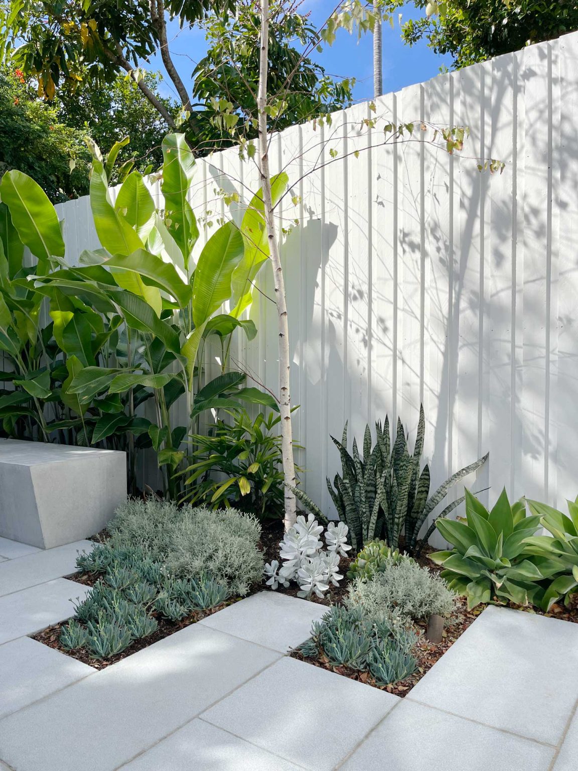 Minimalist Concrete Garden Minimalist Concrete Garden
