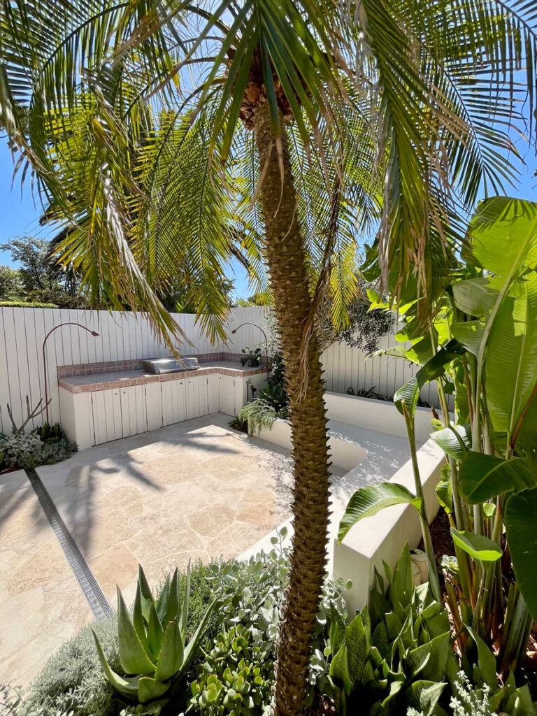 Modern Mediterranean Magic in North Bondi | Bondi Landscapes