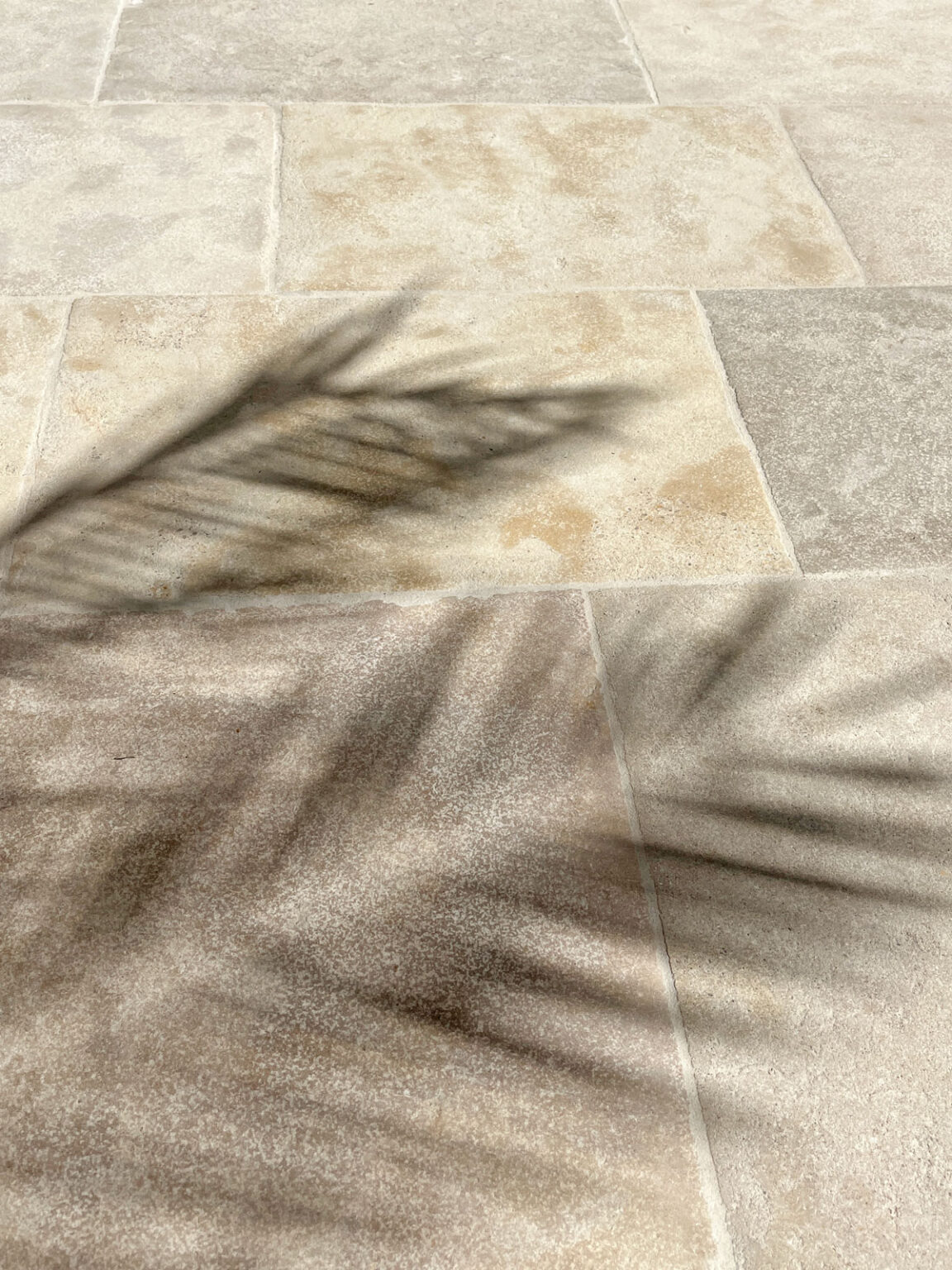 Bondi Beach’s little Mediterranean Courtyard | Bondi Landscapes